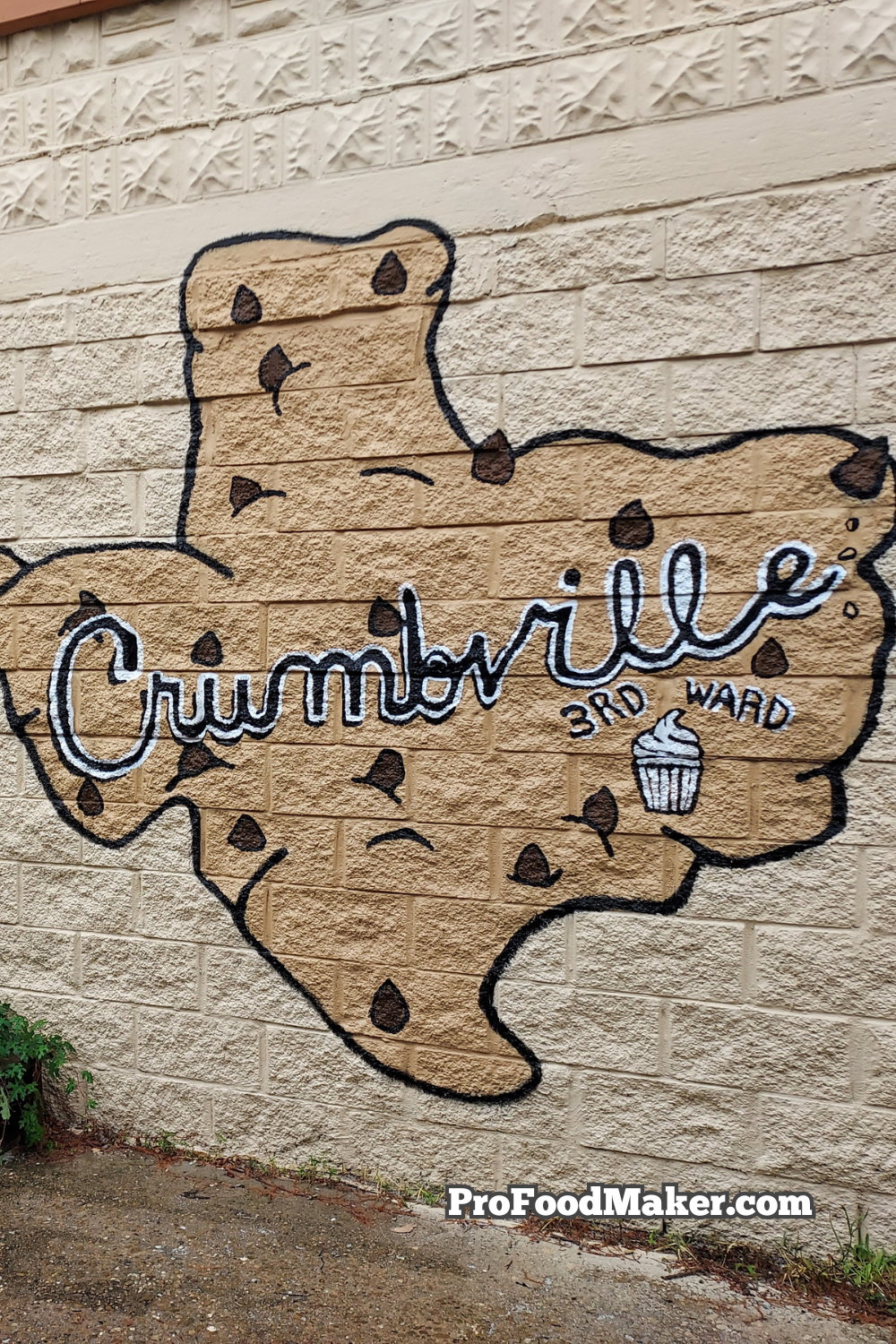 The Ultimate Third Ward Houston Guide to Black Owned Restaurants & Shopping